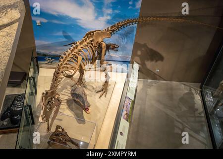 Lythronax argestes, a tyrannosaur, in the Natural History Museum of Utah, Salt Lake City, Utah ...