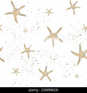 Seashell seamless hand drawn linen style pattern. Organic marine life ...