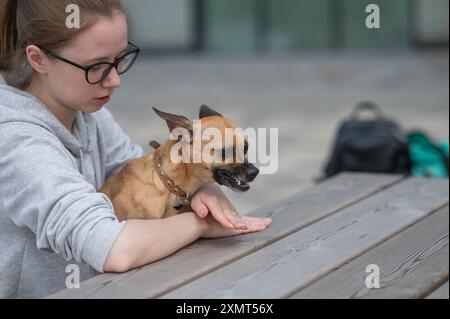 A small dog grins and shows aggression towards its owner during a walk ...