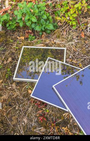 Old solar power technology - Schott RWE 12v 5w amorphous silicon (ASi ...