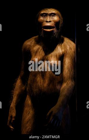 Caveman, Neanderthal, Primate, Homo Habilis, Homo Rudolfensis, Homo ...