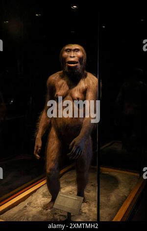Caveman, Neanderthal, Primate, Homo Habilis, Homo Rudolfensis, Homo ...