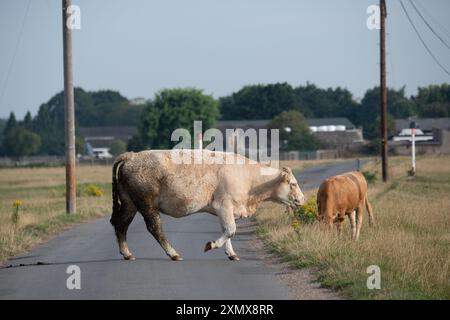 Dorney, Buckinghamshire, UK. 30th May, 2026. Search and Rescue Incident ...
