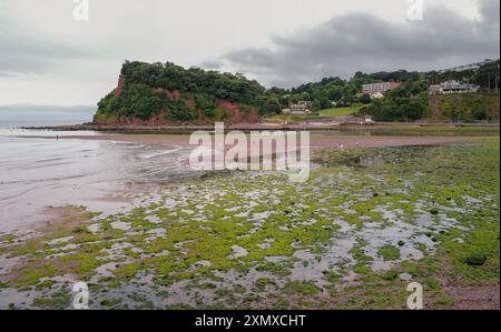 The Ness in Shaldon from Teignmouth beach, south Devon Stock Photo - Alamy