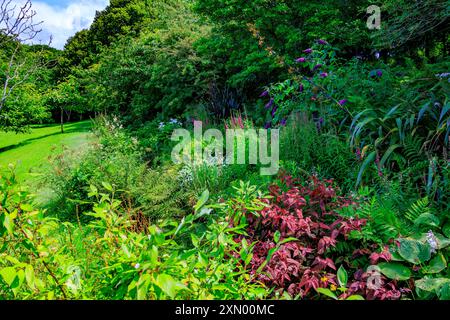 A colourful mixed border alongside the old mill stream at Docton Mill ...