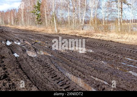spring landscape with muddy swamp, forest road, spring, dirty wet road ...