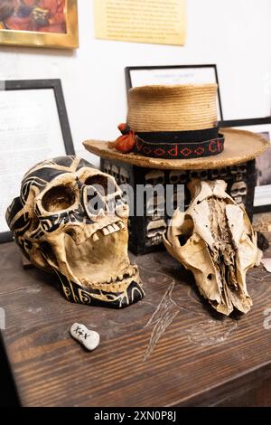 skull new orleans historic voodoo museum Stock Photo - Alamy