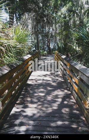 Wooden walkway surrounded by greenery Stock Photo - Alamy