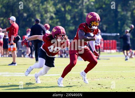 Washington Commanders safety Dominique Hampton (45) and safety Ben ...
