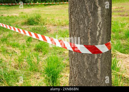 Tree Bark Cordoned Off With Tape Due Stock Photo - Alamy