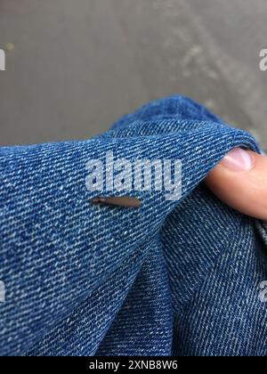 New Zealand Drywood Termite (Kalotermes brouni) Insecta Stock Photo - Alamy