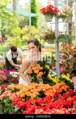 Girl choosing blooming potted begonia x hiemalis in garden store Stock ...