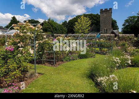 Colorful rose gardens at St Fagans Castle, Wales, UK Stock Photo - Alamy