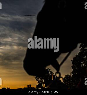 The 1st Infantry Division Commanding General's Mounted Color Guard ...