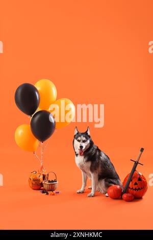 Gift box with pumpkins and Halloween balloons near violet wall Stock ...