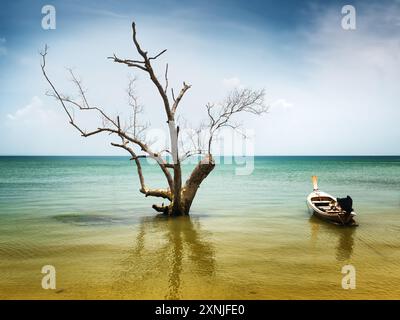 Dry tree and boat in water Stock Photo - Alamy
