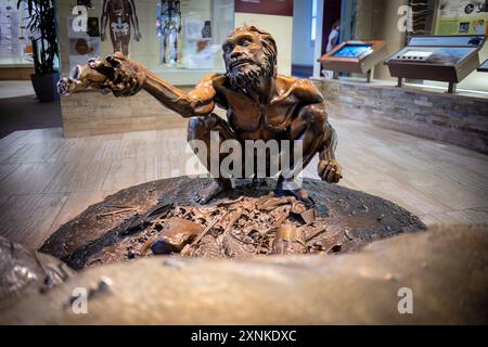 Human Origins Skull Smithsonian Museum Washington DC // WASHINGTON DC ...