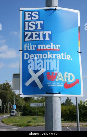 Afd GER, Deutschland, 20240801,Wahlplakat, AfD in Brandenburg *** Afd ...
