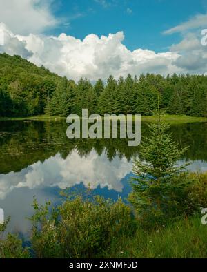 Lake Alma in the Adirondack Mountains, New York Stock Photo - Alamy