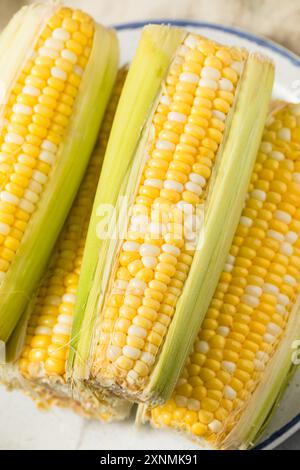 Multi colored corn on the cob Stock Photo - Alamy