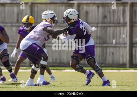 LSU defensive lineman Sai'vion Jones (DL53) poses for a portrait at the ...