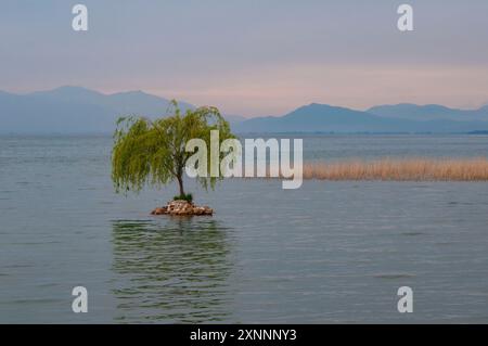 Trpejca village a famous tourist spot on Lake Ohrid and Galicica ...