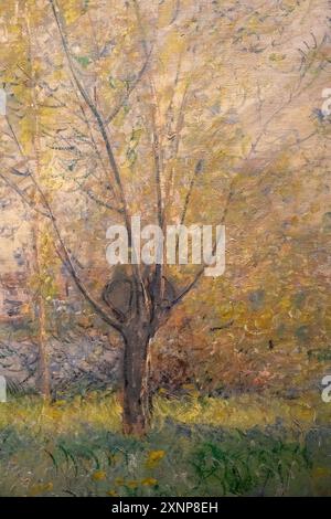 painting by Claude Monet called The Willows, painted in 1880 Stock ...