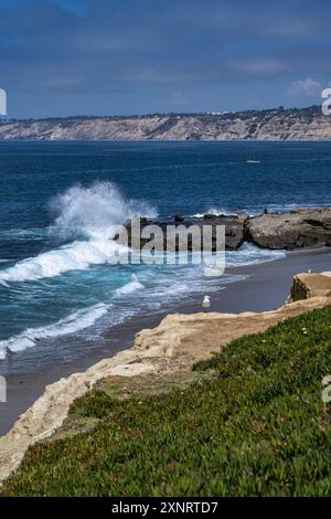 Late afternoon along the rugged coast of Washington on Ruby Beach in ...