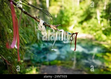Many various ribbons tied for a good luck to a trees near Saula Blue ...