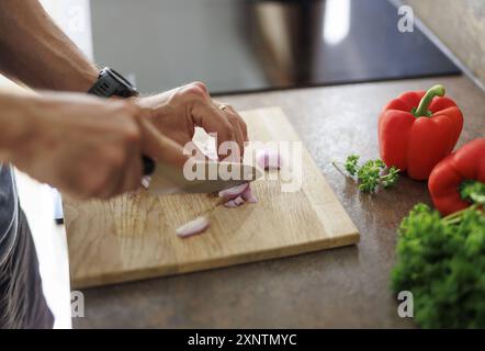 Thema kochen. Ein Mann schneidet eine Zwiebel. Berlin, 01.08.2024 ...