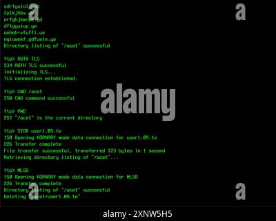 Retro File Manager Login Sequence Template for a 90s Computer Display, Monitor. File Transfer ...
