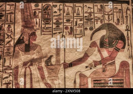Image of Nefertari on left and God Thoth, Paintings and Relief, Tomb of ...
