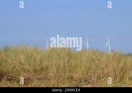 Amager/Copenhagen/ Denmark/02 August 2024/Wind turbine wind power ...