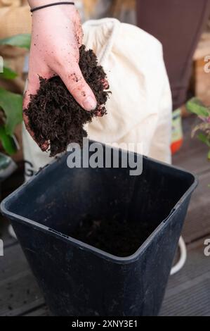 Woman filling pot with soil on wooden table, closeup Stock Photo - Alamy