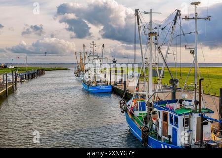 Lighthouse Kleiner Preusse at the harbour of Wremen, Wurster North Sea ...