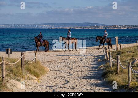 Llevant beach, riding a horse, Formentera, Pitiusas Islands, Balearic ...