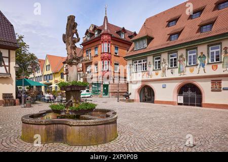 Town hall fountain and town hall of Haslach im Kinzigtal, Black Forest ...