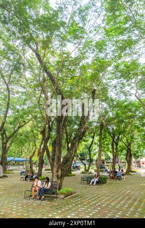 Tall trees dominate People's Park, a popular park in Davao City ...
