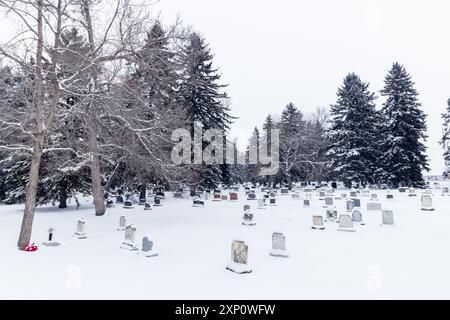 Winter landscape at the Saint Joachim Catholic Cemetery in Edmonton ...