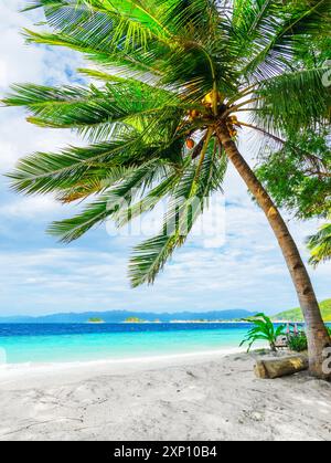 Green tree on white sand beach blue sky. Tropical beach in Lipe Satun ...