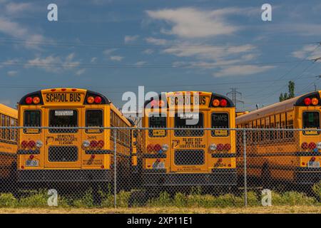 2 August 2024 - Calgary Alberta Canada - Yellow School Buses in Parking ...