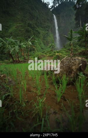 Citambur waterfall, cianjur Indonesia Stock Photo - Alamy