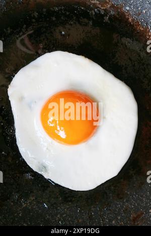 Single vibrant orange egg yolk centered in white ceramic bowl with blue ...