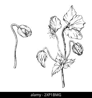 Label with red rose and buds floral festive background vintage vector ...