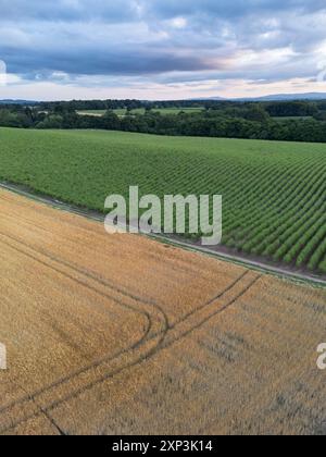 Arable farmland on the Staffordshire, Shropshire border near Pattingham ...