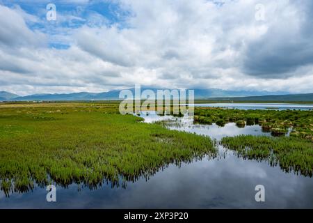 Wide open wetlands at the Flower Lake Nature Reserve. Ruoergai Wetland ...