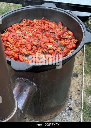 River crayfish are boiling in a cauldron over an open fire. The ...