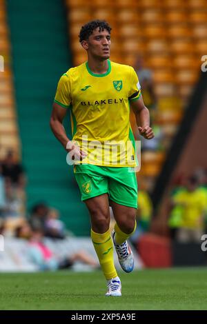 Ben Chrisene of Norwich City on the ball during the Sky Bet ...
