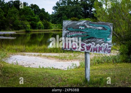 Caution Sign with Alligator Warning and Swamp Background no swimming ...