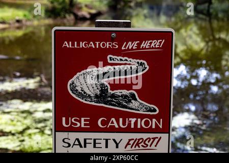 Caution Sign with Alligator Warning and Swamp Background no swimming ...